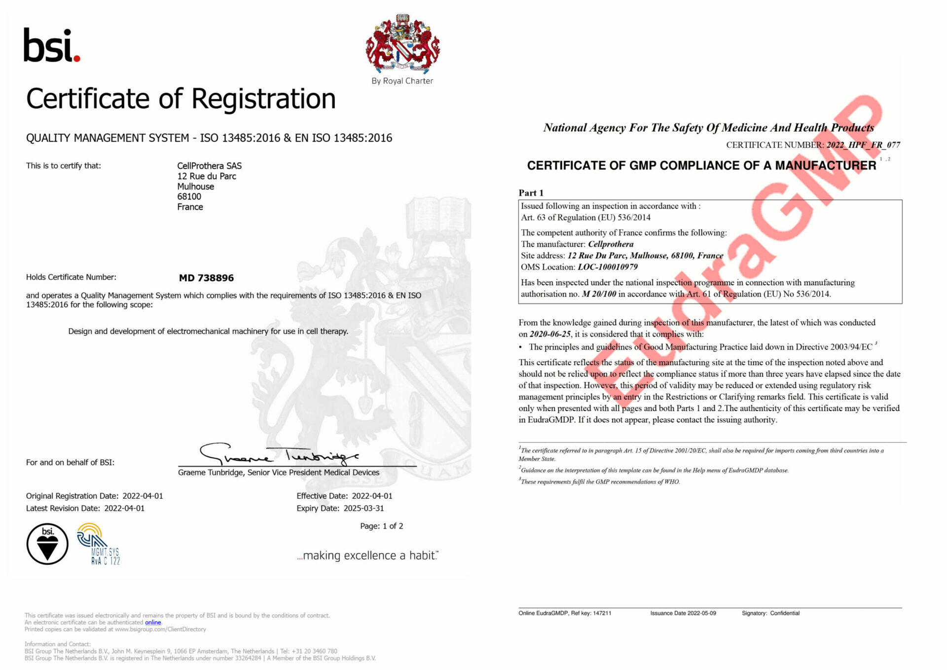 CellProthera | Corporate