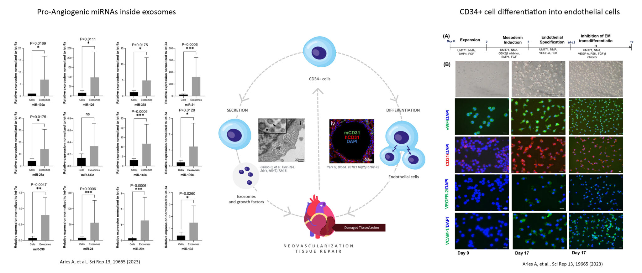 CellProthera | Science & Technology